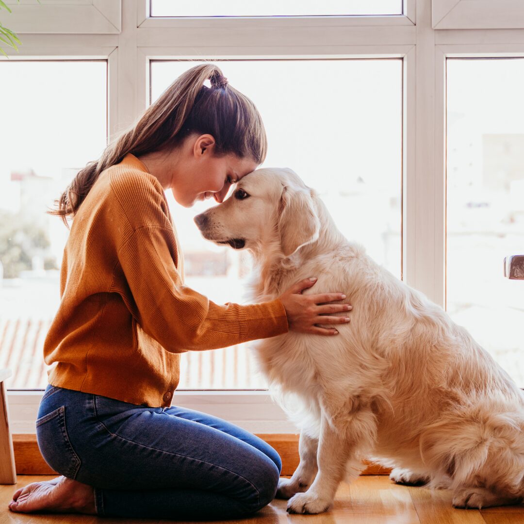 7 Guiding Principles of Animal Communication - Cathy Malkin - Animal ...
