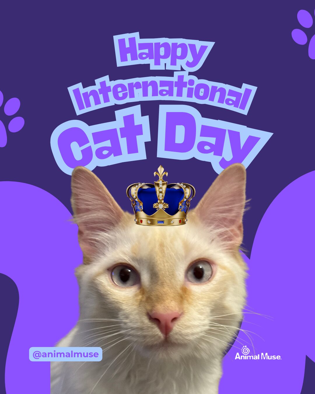 International Cat Day: Cats Are the Same Everywhere - Cathy Malkin ...