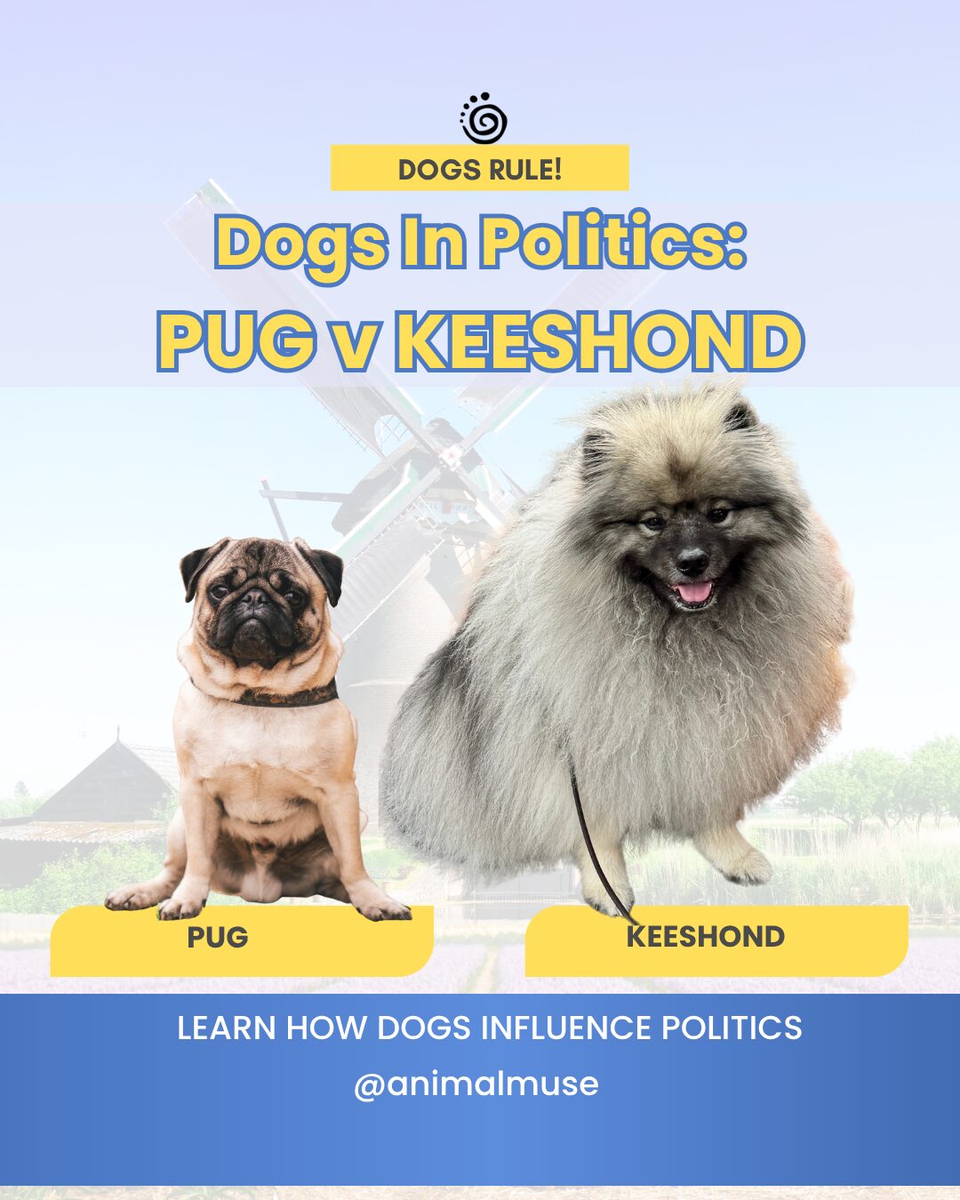 Fun Fact: Political Dog Rivalry - Cathy Malkin - Animal Muse ...